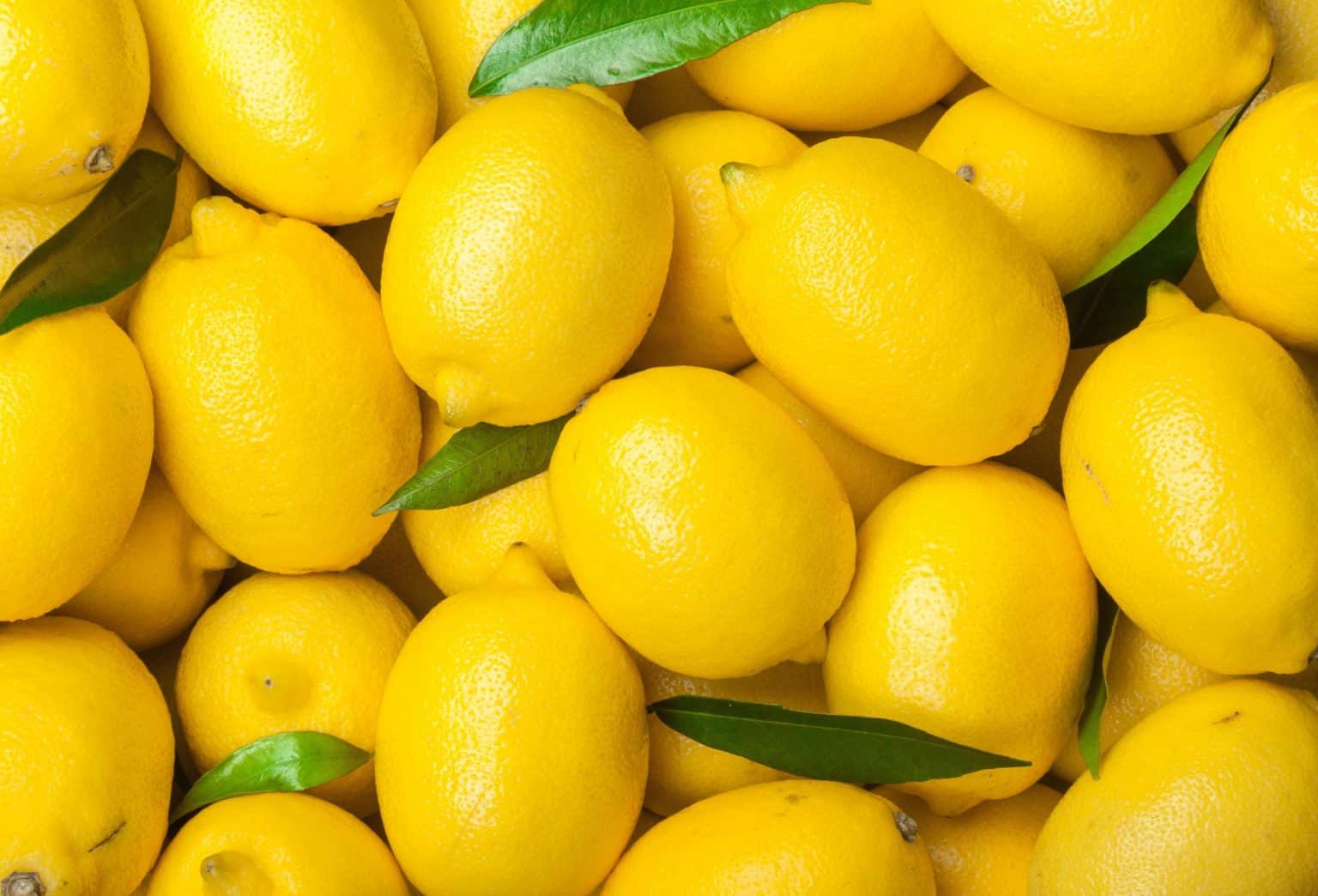 11 Different Types Of Lemons You Probably Didn’t Know About – Garden ...